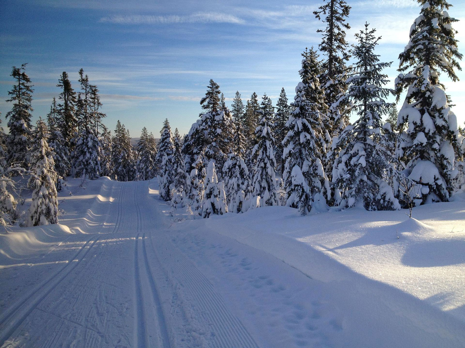 Gävle Skidkamrater - Styrelsen
